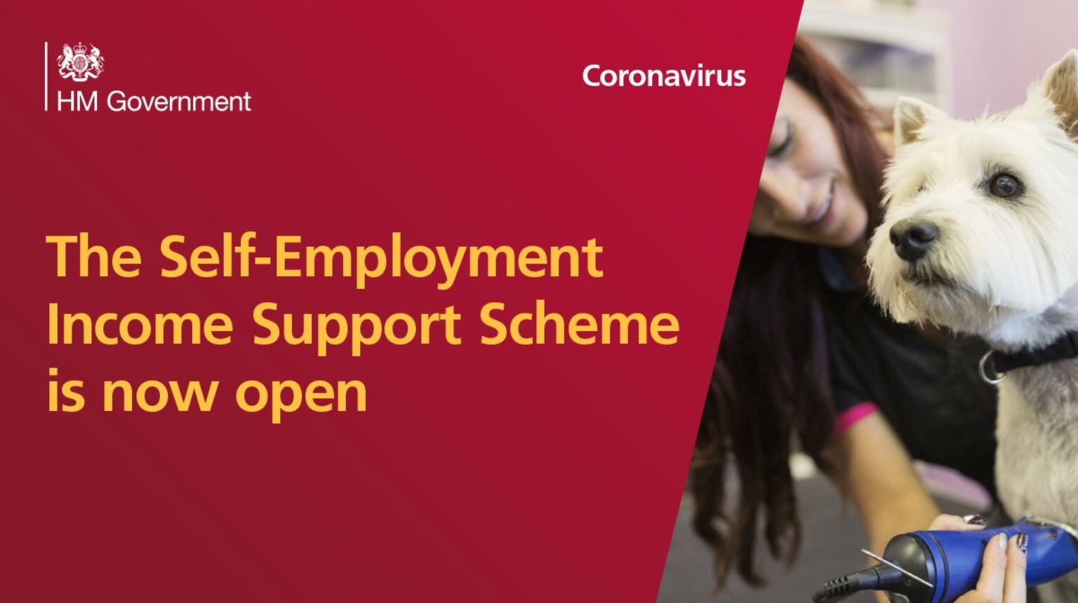 Self-Employment Income Support Scheme (SESS) now open – IReeN the ...
